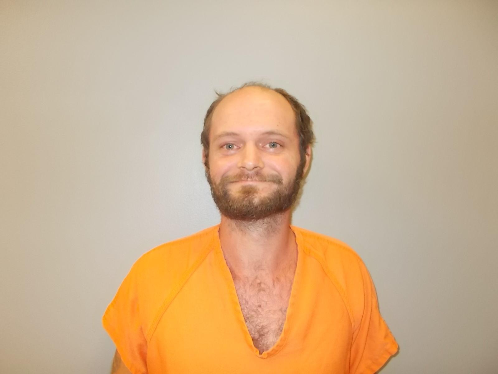 Brandon Ross - Paulding County Jail | Booking Photos | crescent-news.com