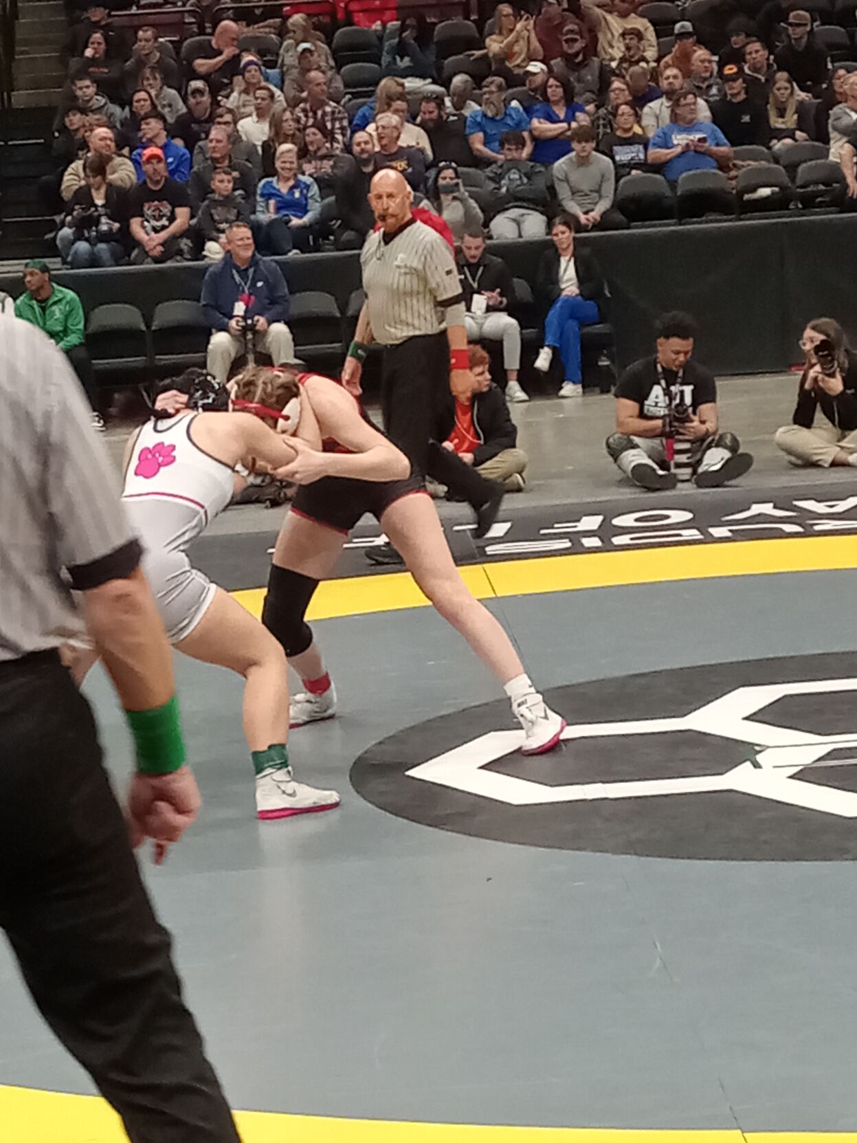 State wrestling: DeLano, Dominique win state titles | Local Sports ...