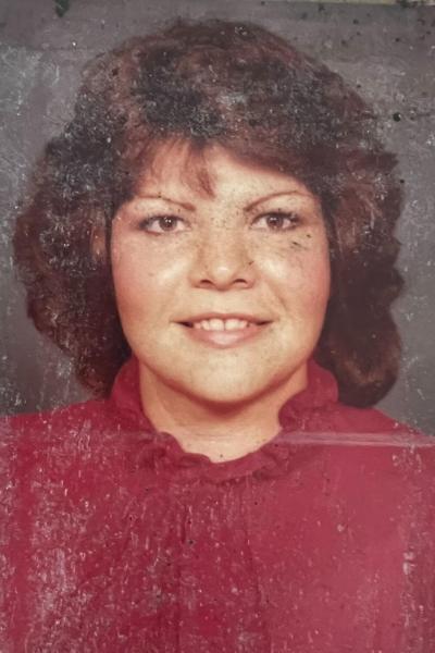 Karen L. Sierer | Local Obituaries | crescent-news.com