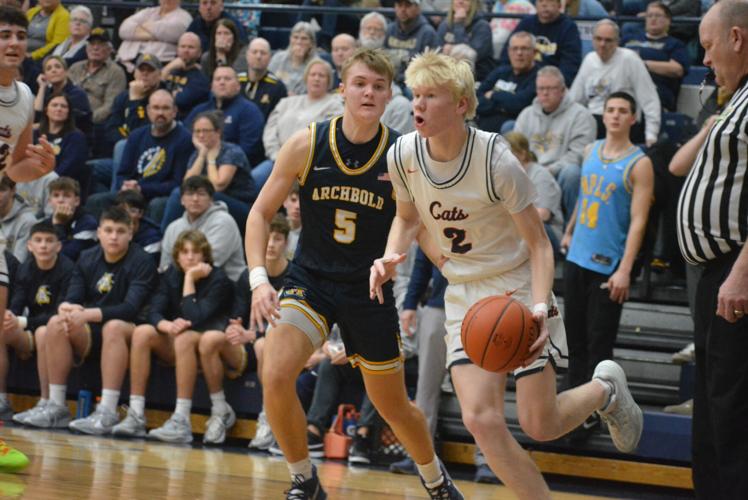 Saturday boys basketball: Napoleon scorches nets, snaps Archbold win ...