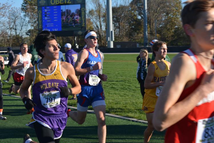 State cross country: Liberty Center girls come in second, Holgate boys ...