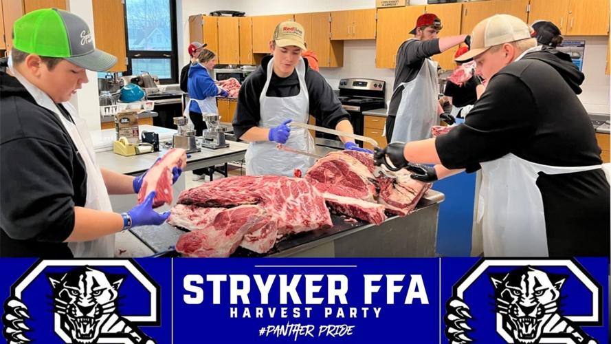Stryker FFA illustrates year in review | Farm | crescent-news.com