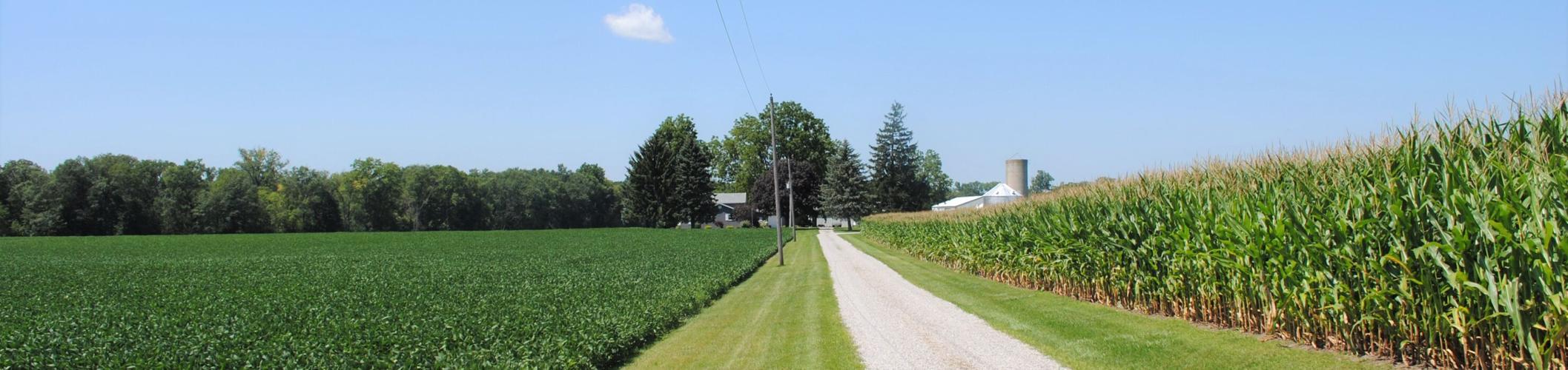 Local farm focus: Weber Farmland LLC. | Local Farm | crescent-news.com