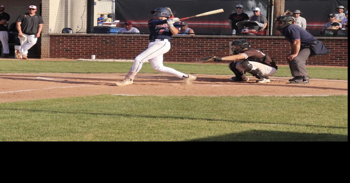 Regional baseball: Napoleon's dream season falls short of state | Local ...