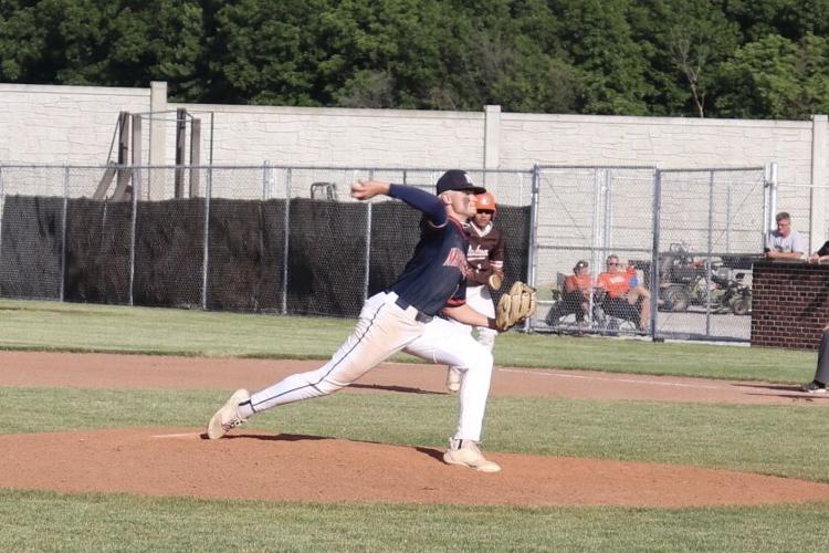 Regional baseball: Napoleon's dream season falls short of state | Local ...