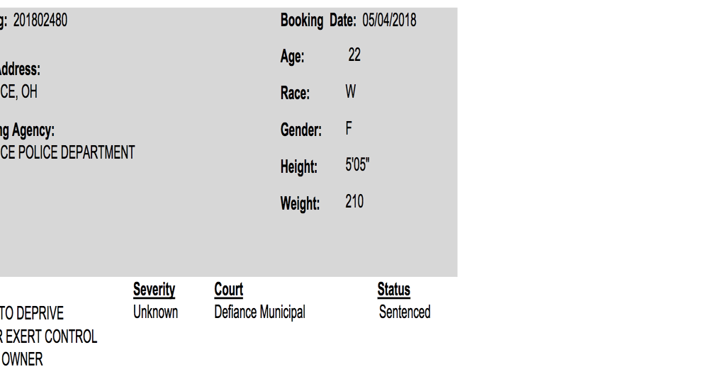 Michaela Geiger | Booking Photos | crescent-news.com