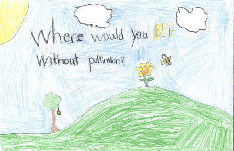 Local NACD poster contest winners | Local Farm | crescent-news.com