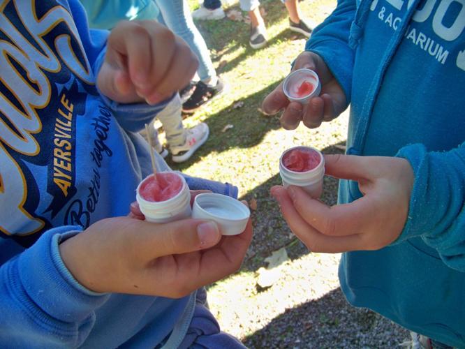 Area schools attend Defiance SWCD 2022 6th Grade Conservation Tour ...