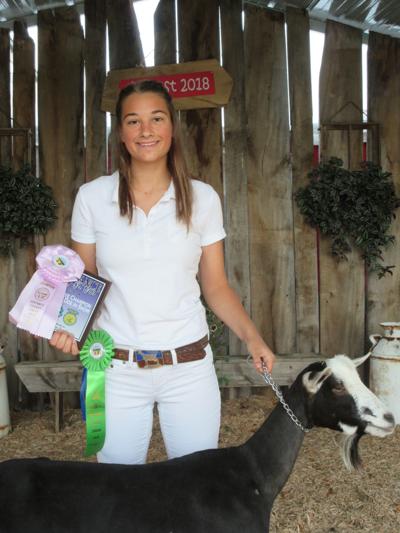 Reineck a winner in goat show | Local Farm | crescent-news.com