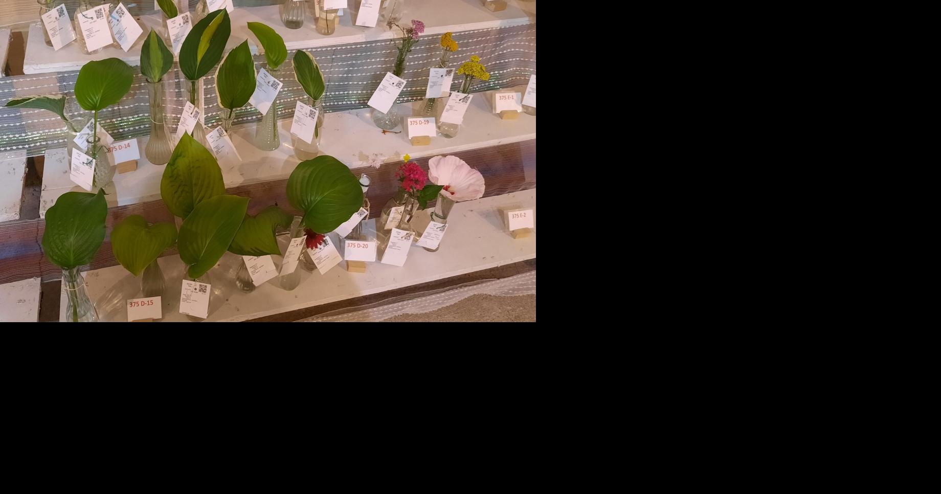 Flower judging at fairs | Local Announcements | crescent-news.com