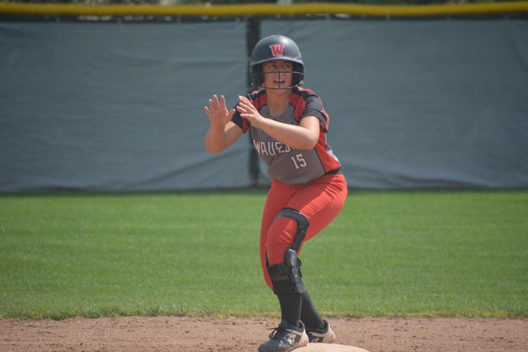 All-Ohio softball: Arnold, Coppes receive all-Ohio honors | Local ...