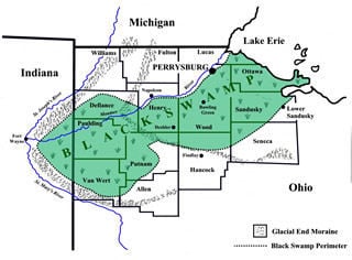 Remembering the Great Black Swamp | Local Farm | crescent-news.com