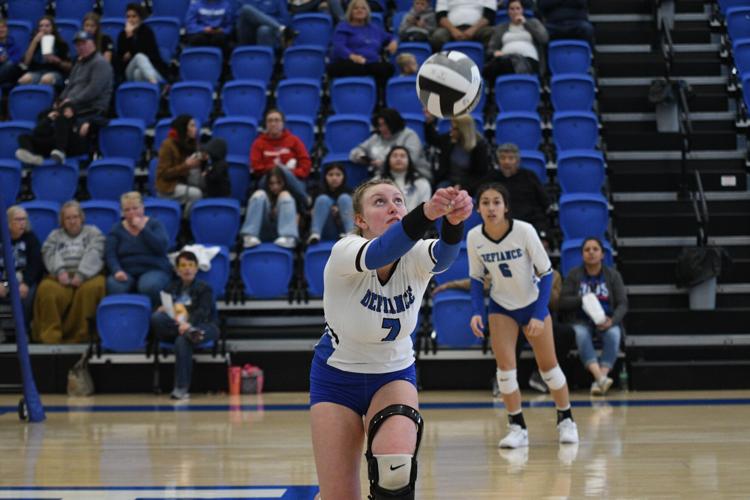 Saturday volleyball: DHS wins regular season final vs. rival Napoleon ...
