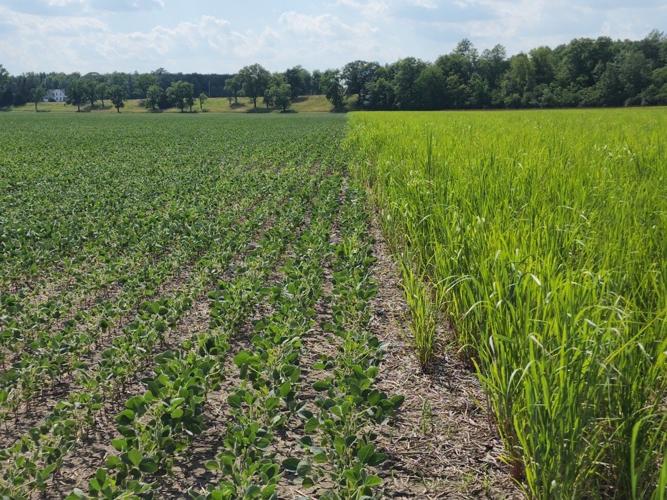 Local farm focus: Singer Farm LLC. | Local Farm | crescent-news.com