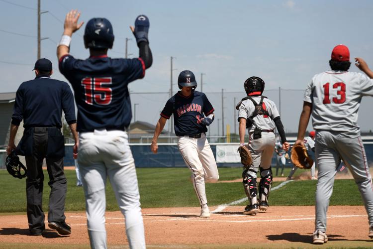 Saturday baseball: Napoleon run rules Wauseon; Pilots, LC split | Push ...