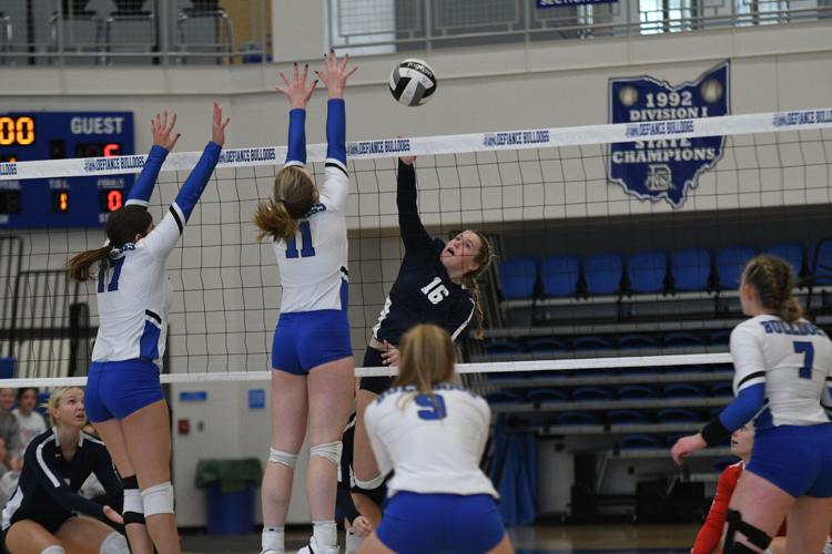Saturday volleyball: DHS wins regular season final vs. rival Napoleon ...