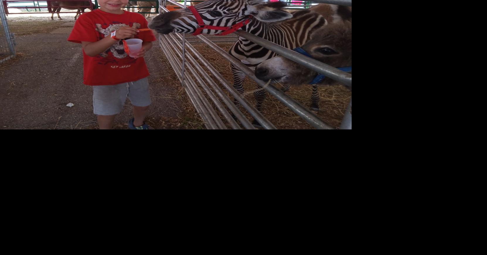 Kids Day at the fair | Local News | crescent-news.com