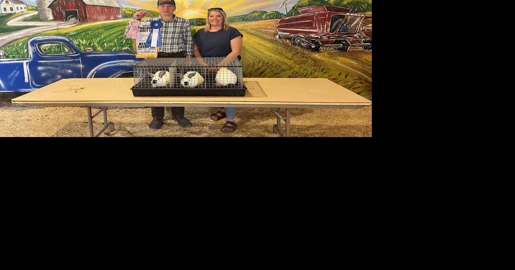 Reserve champion meat pen rabbits | Fairs | crescent-news.com