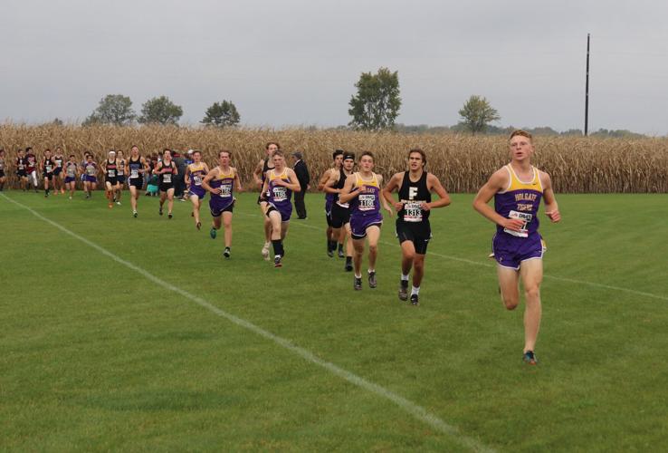 D-III district cross country: Stellar day for Holgate, Tinora | Local ...
