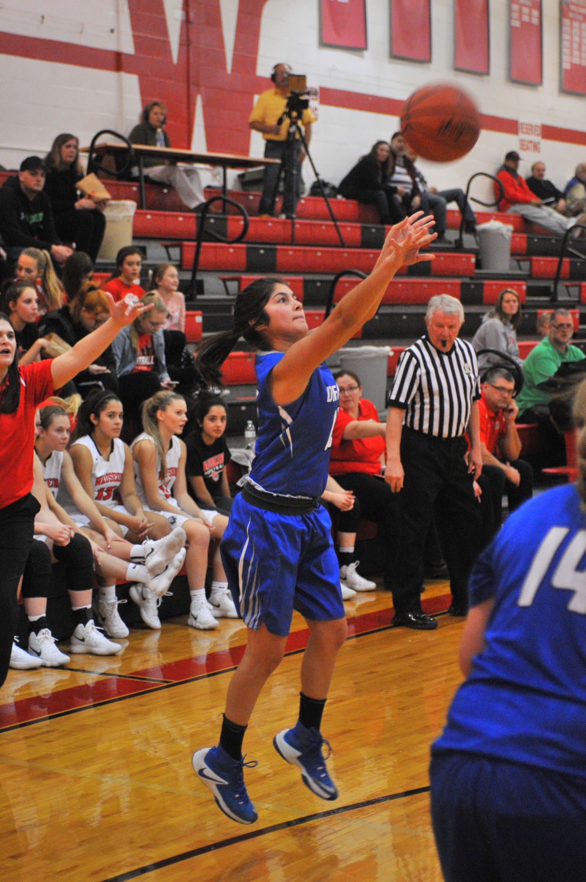 Defiance girls basketball: Bulldogs' hot start sinks Indians | Local ...