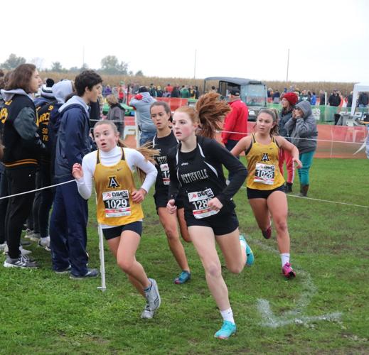 D-III district cross country: Stellar day for Holgate, Tinora | Local ...