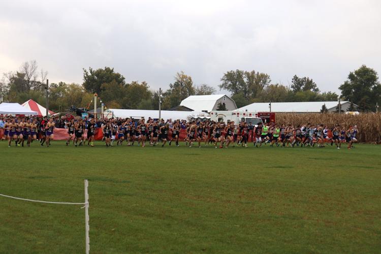 D-III district cross country: Stellar day for Holgate, Tinora | Local ...