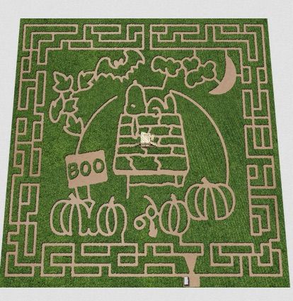 Leaders Farm to feature Peanuts corn maze | Local News | crescent-news.com
