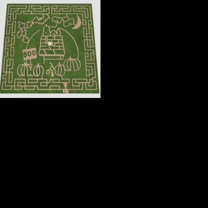 Leaders Farm to feature Peanuts corn maze | Local News | crescent-news.com