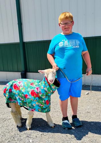 Walking his lamb | Local Farm | crescent-news.com