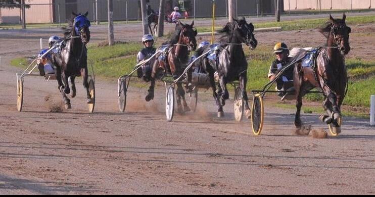 Fair offers three nights of harness racing | Fairs | crescent-news.com