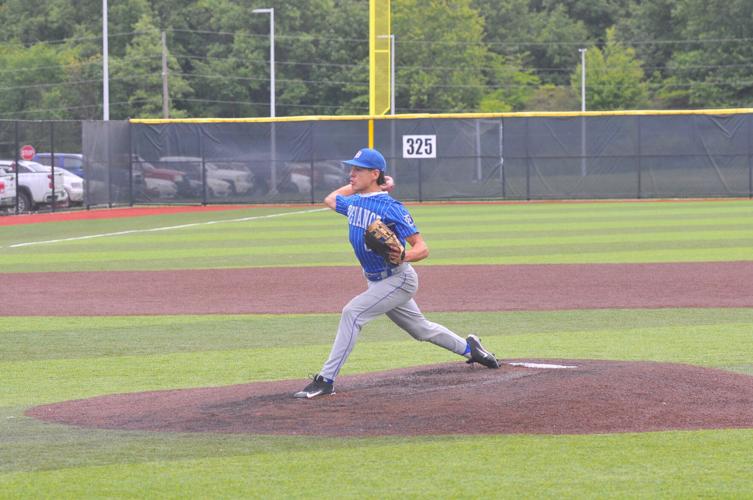 District ACME baseball: Napoleon holds off Defiance to win District 1 ...