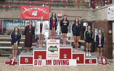 State diving: Napoleon's Borstelman becomes second-ever area state ...