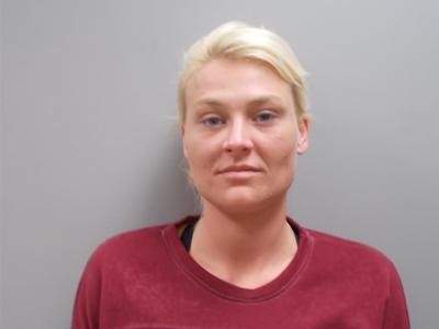 Shantel Collins - Paulding County Jail | Booking Photos | crescent-news.com