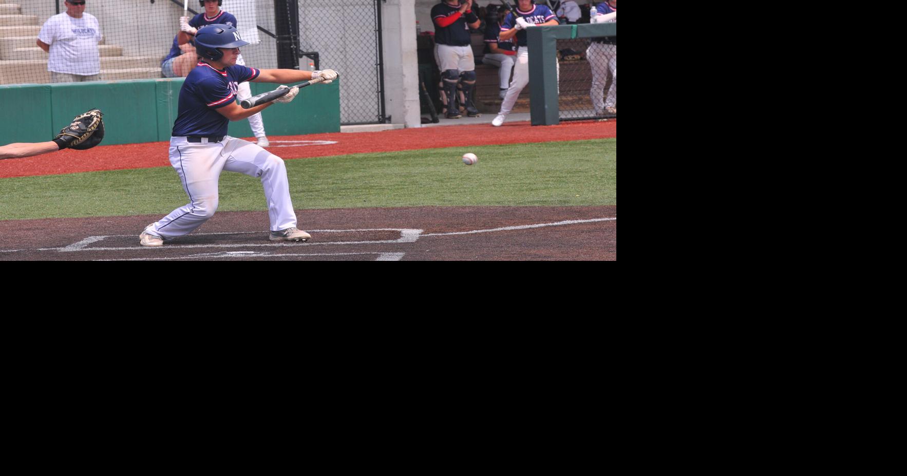 District ACME baseball: Napoleon holds off Defiance to win District 1 ...