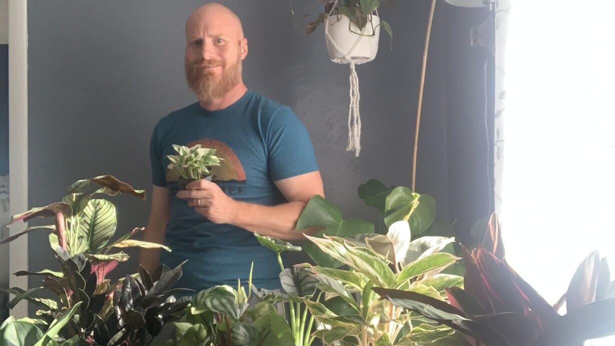 Local entrepreneur strives to bring green consciousness to Defiance ...