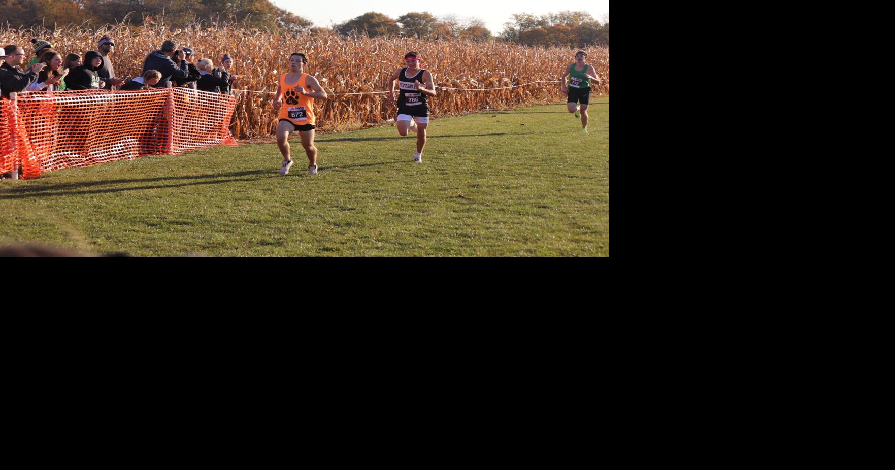 District cross country: PH and LC girls, O-G and Holgate among team ...