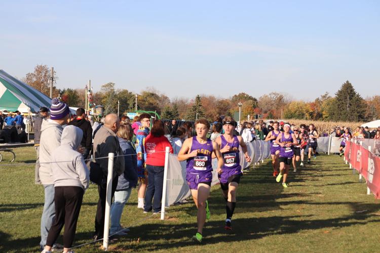 District cross country: PH and LC girls, O-G and Holgate among team ...
