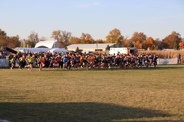 District cross country: PH and LC girls, O-G and Holgate among team ...