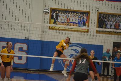 All-Ohio volleyball: Crites, Culler and Craft all earn all-Ohio nods ...