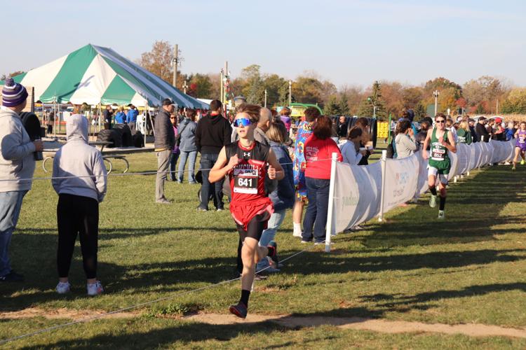 District cross country: PH and LC girls, O-G and Holgate among team ...