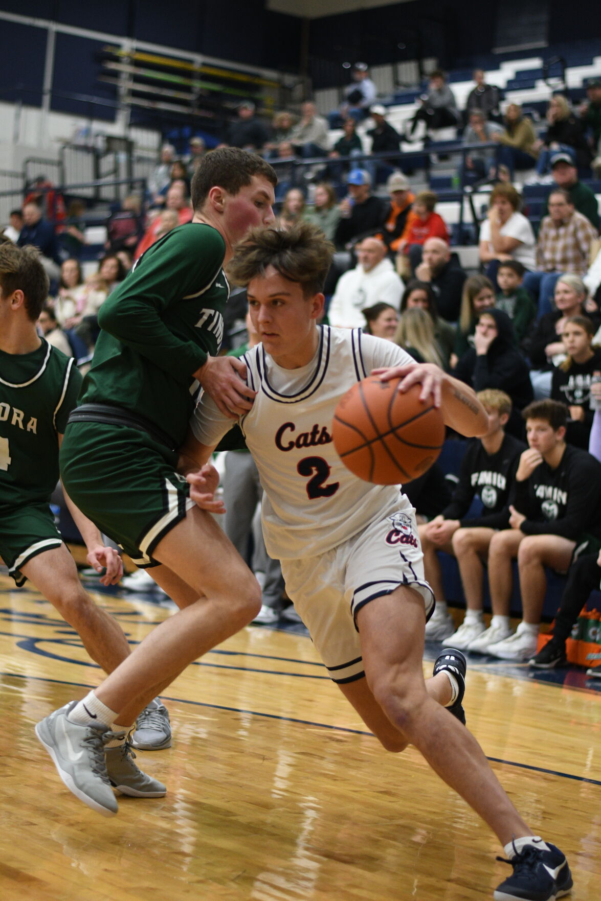 Regional boys basketball: Napoleon asking 'Why not the Wildcats ...