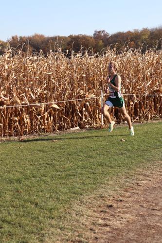 District cross country: PH and LC girls, O-G and Holgate among team ...