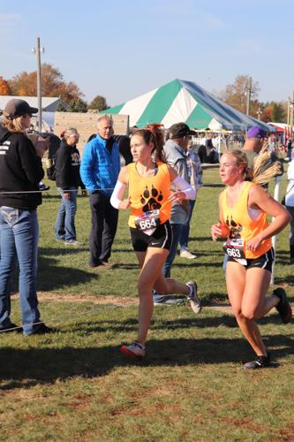 District cross country: PH and LC girls, O-G and Holgate among team ...