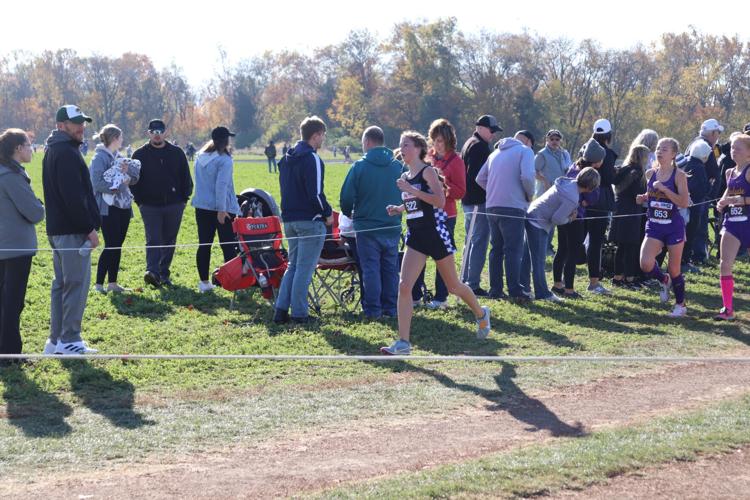 District cross country: PH and LC girls, O-G and Holgate among team ...