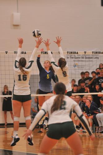Tuesday volleyball: Tinora wins River Rivalry over Ayersville, Hagerty ...
