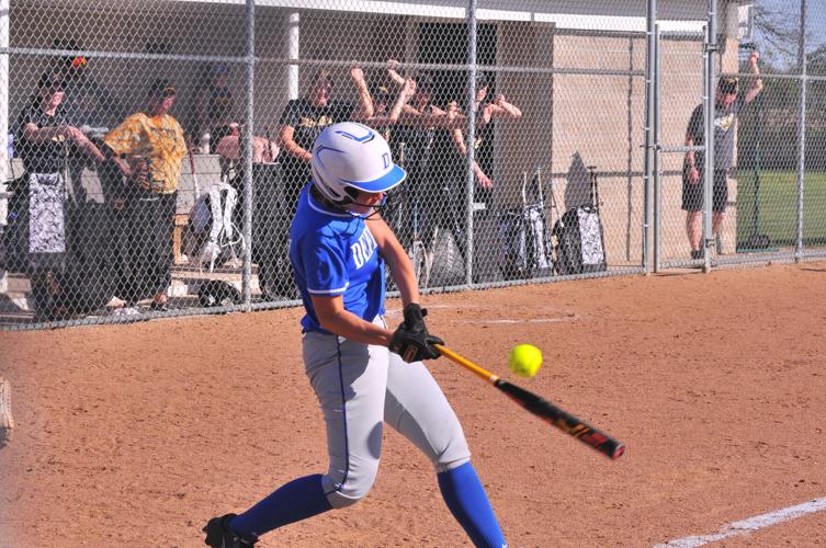 Monday softball: DHS ends two-game skid with win over Fairview | Local ...