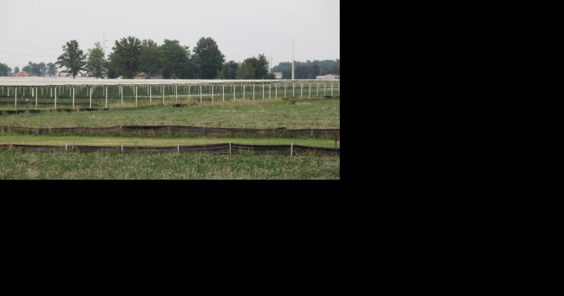 Putnam solar farm | Local Business | crescent-news.com