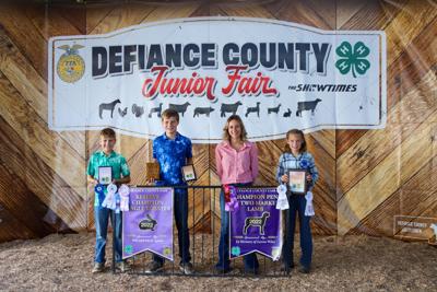 Defiance County Junior Fair winners | Fairs | crescent-news.com