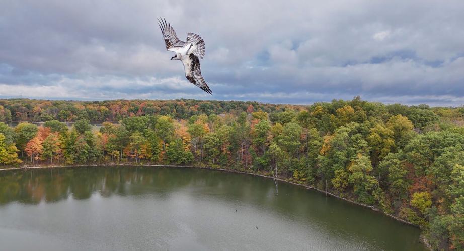 Bursts of fall color now visible throughout much of Ohio | APG State ...