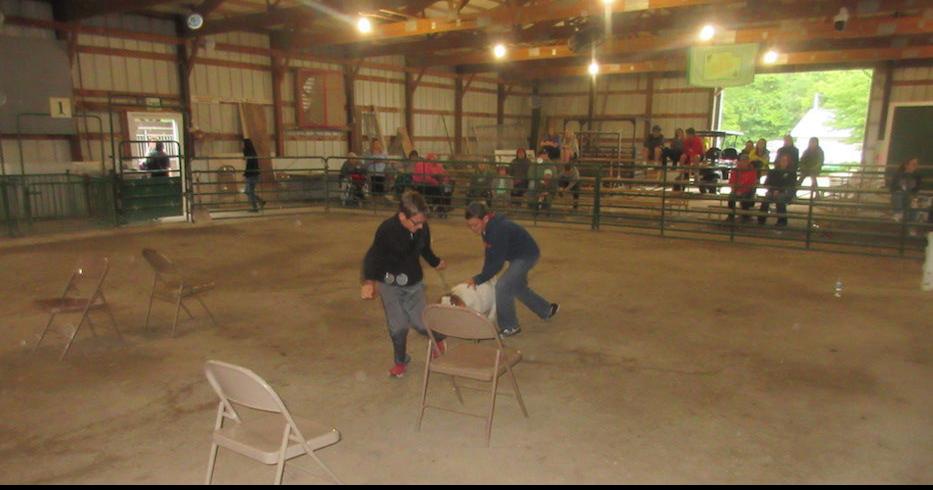 Paulding County Fair holds goat obstacle course | Local News | crescent ...